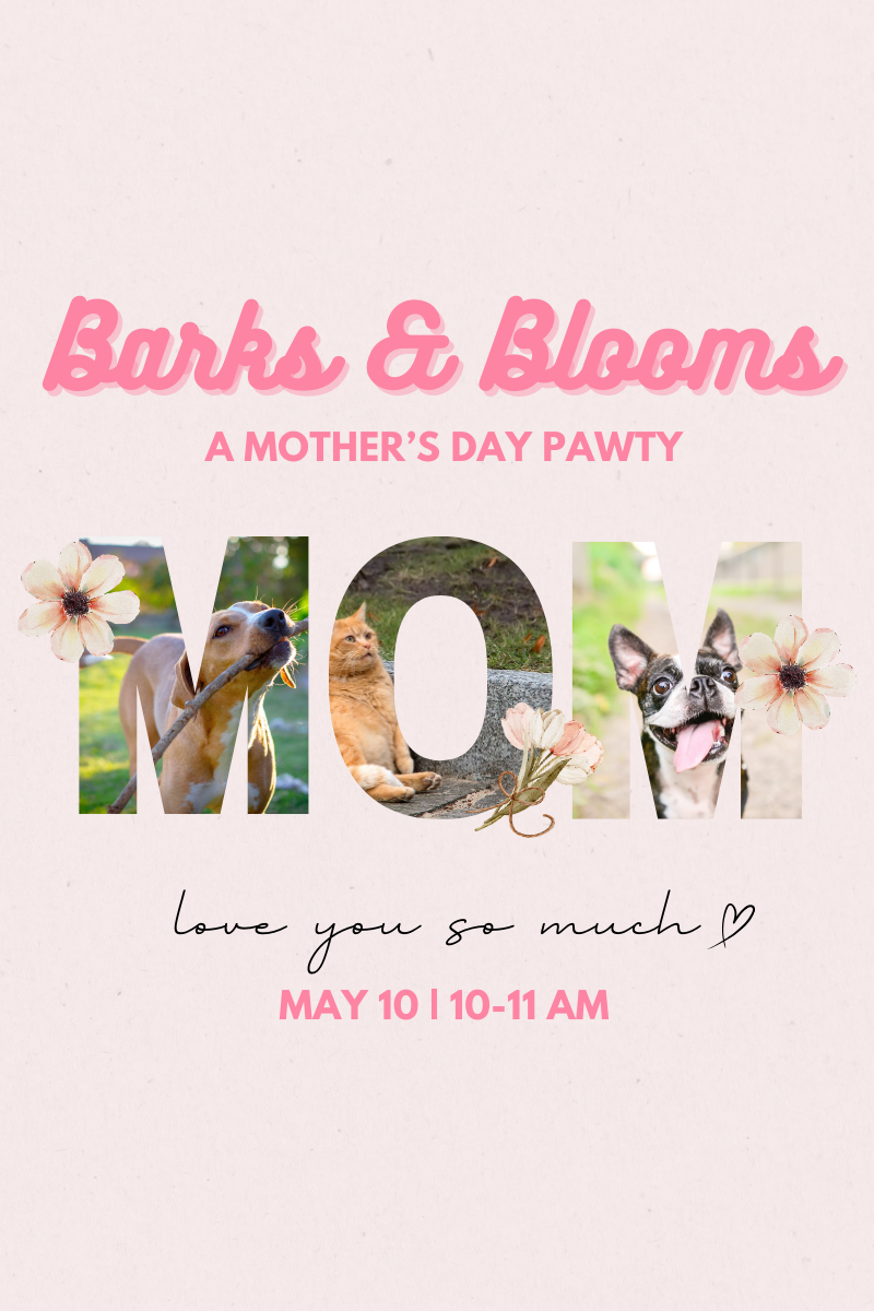 Bark & Blooms: A Mother’s Day Gardening Pawty 🌸 🐾 – Pawsnickety Pets