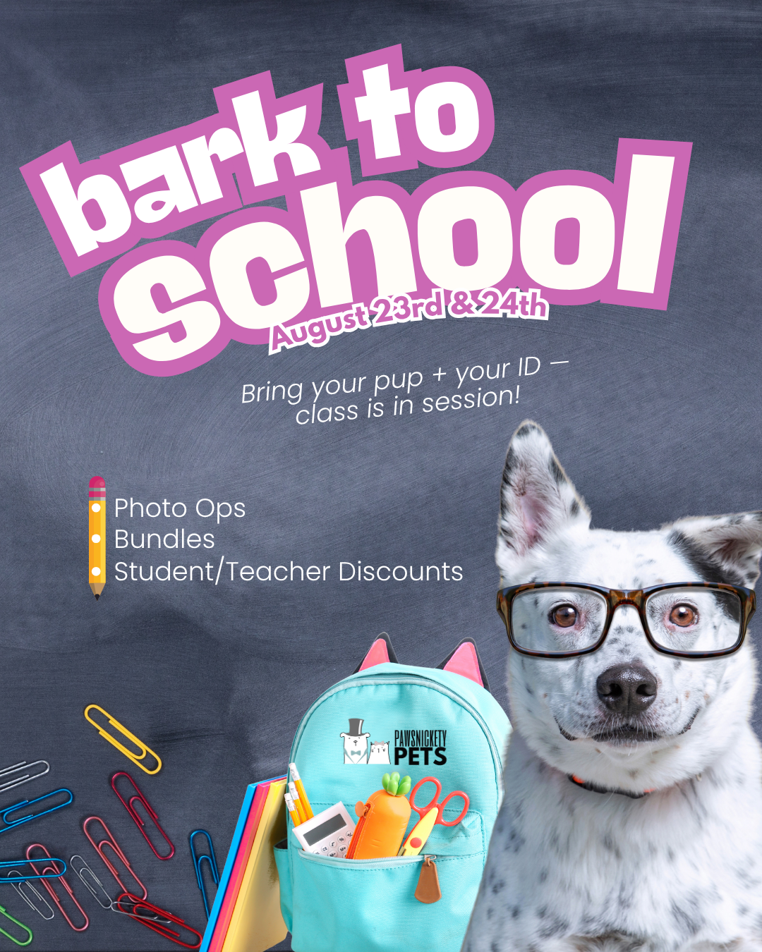 Bark 2 School: Back-to-Routine Bundles & New Season Vibes – Pawsnickety ...