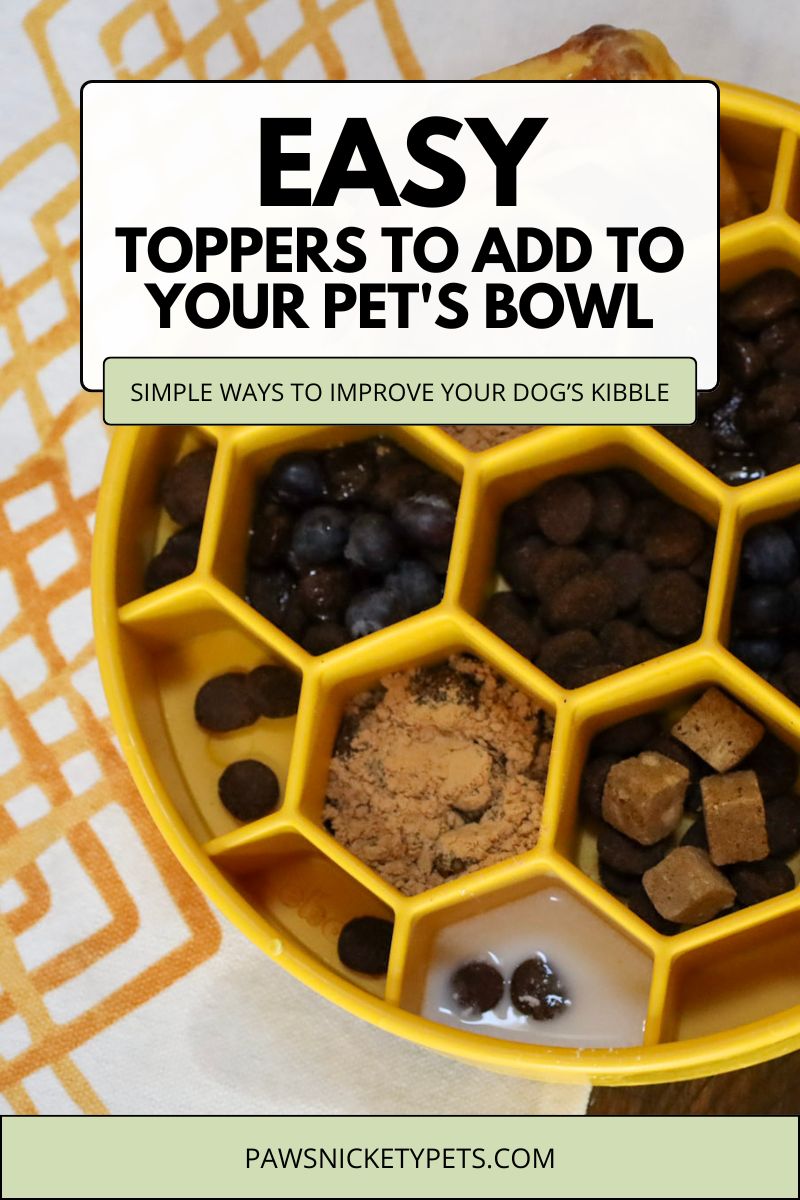 Easy Toppers to Add to Your Pet's Bowl: Simple Ways to Improve Your Dog ...