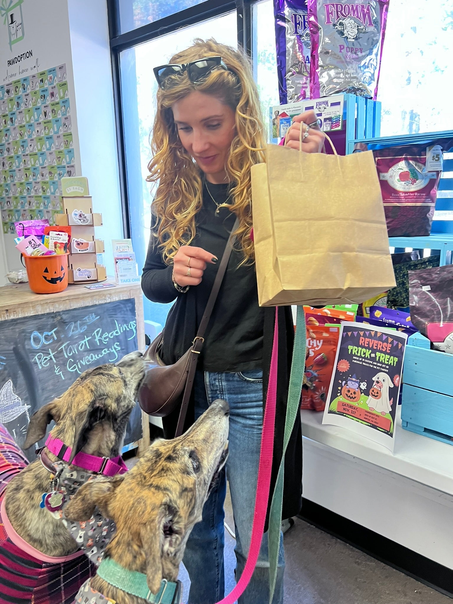 Pawsnickety Perks: The Boutique Pet Store Experience You Didn’t Know Y ...