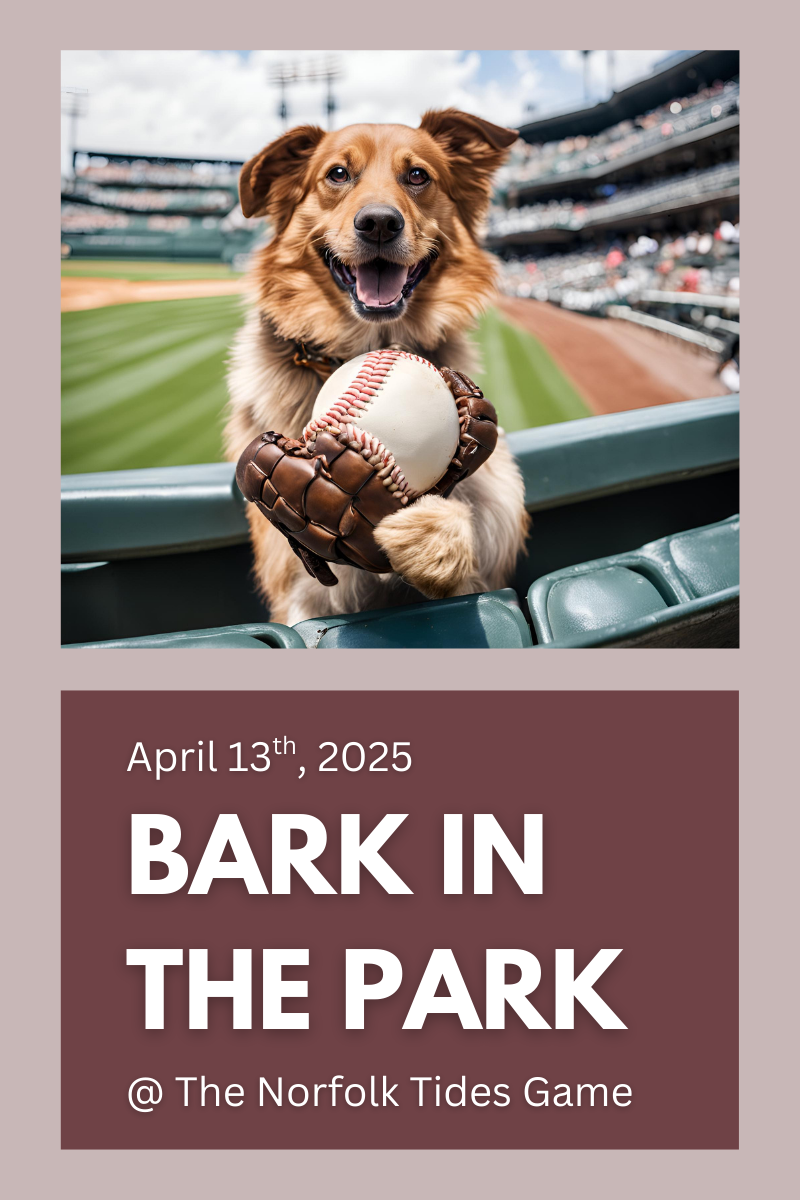 Bark in the Park at The Norfolk Tides Game – Pawsnickety Pets